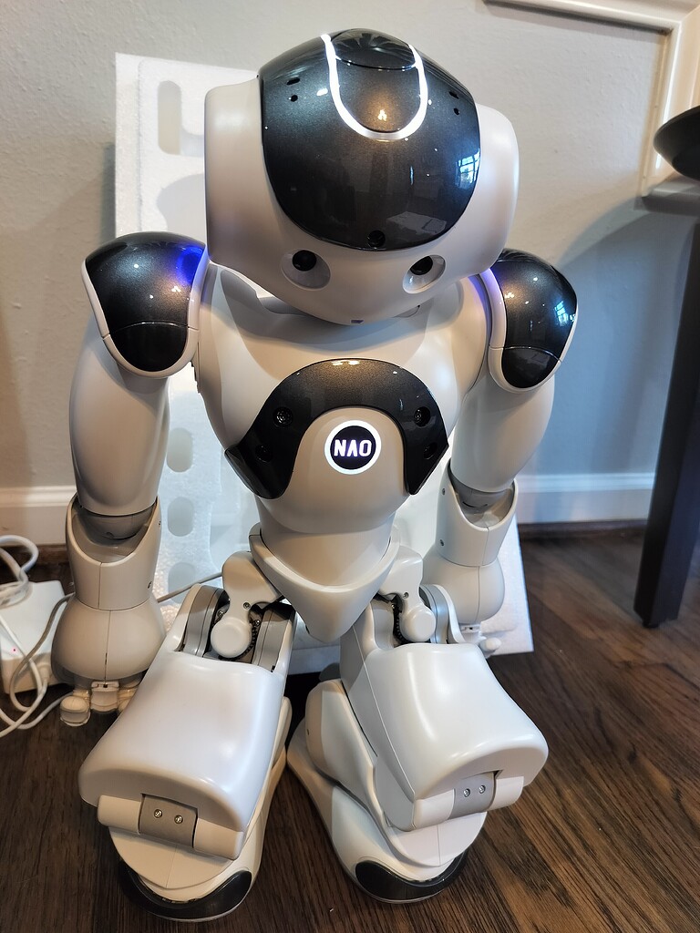 ZoraBots Nao V6 - Marketplace - RobotShop Community