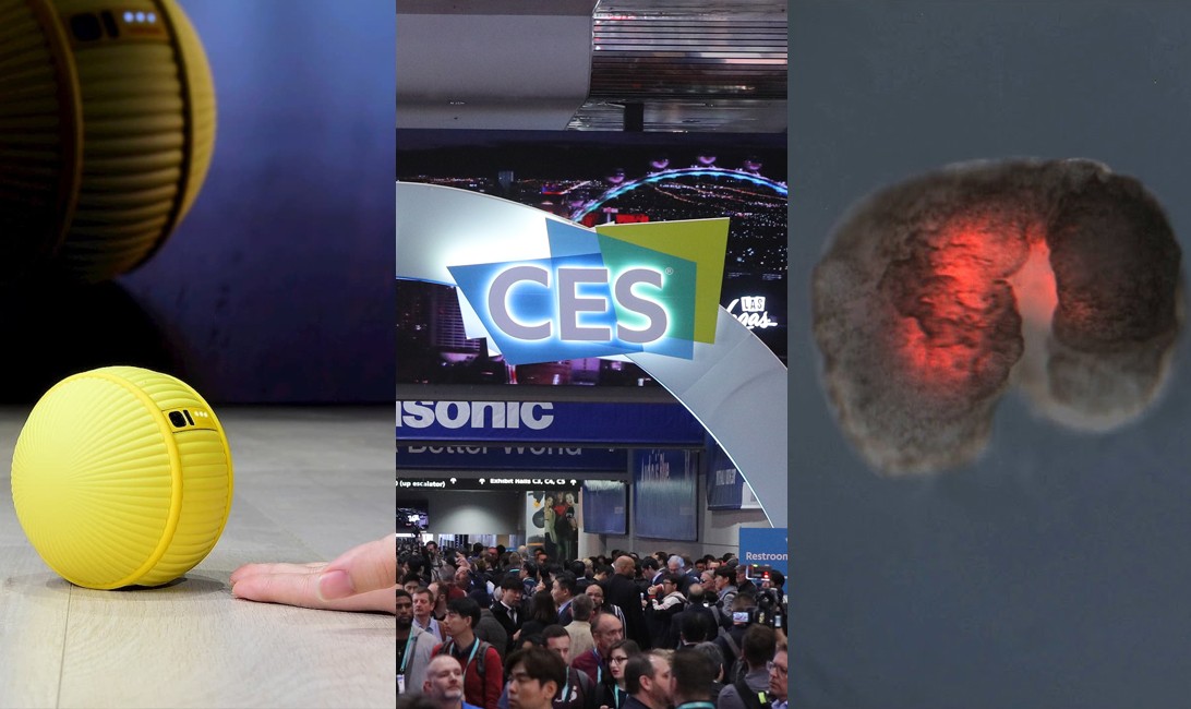 Robotics News Whats Trending In January 2020 Robotshop Community
