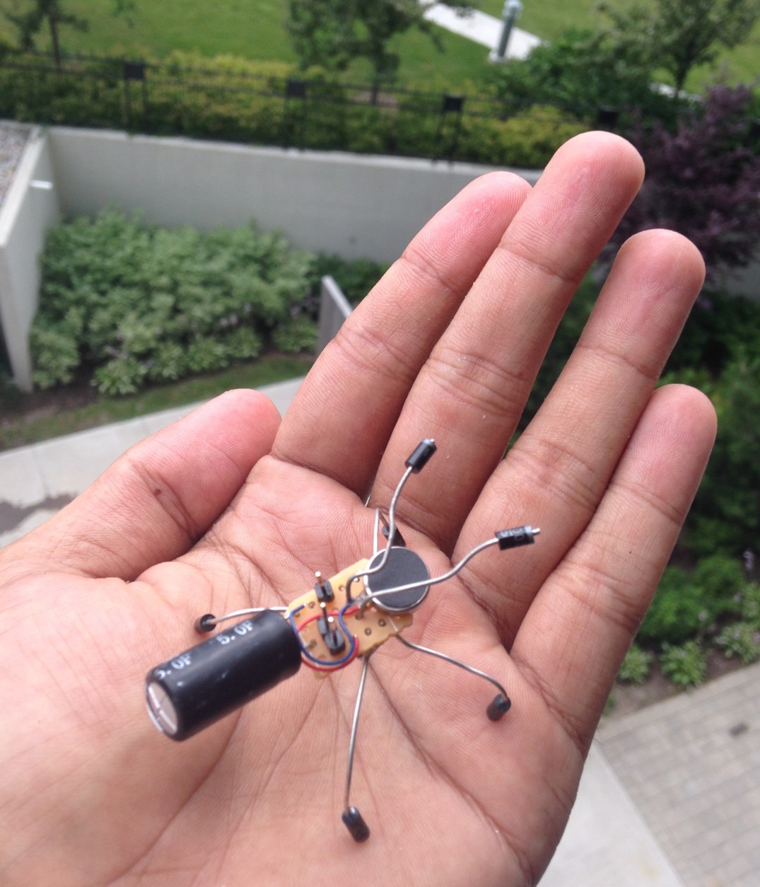 Insect Bot Powered By Capacitor Robotshop Community 