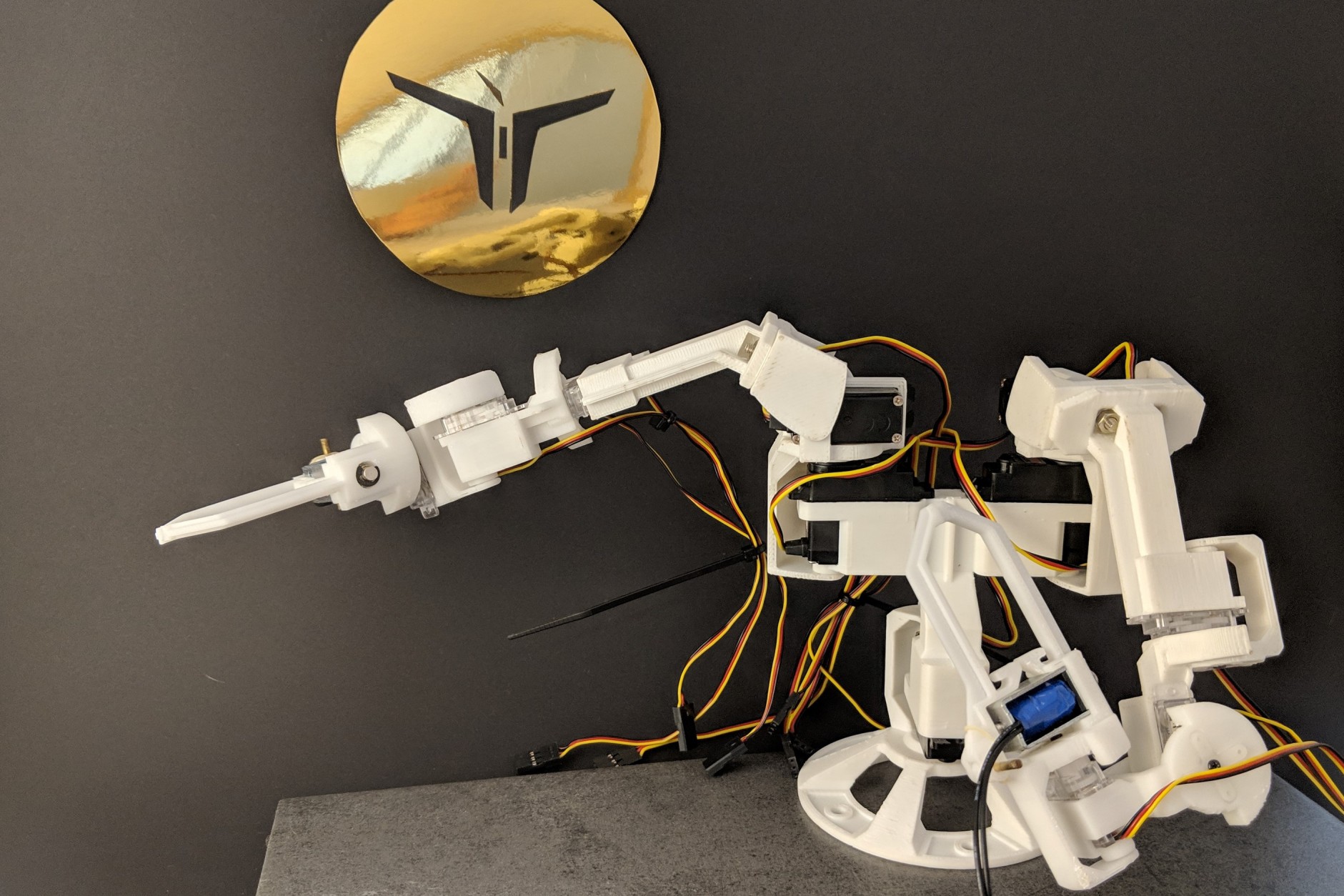Echo v1.0 Prototype Humanoid Torso | RobotShop Community